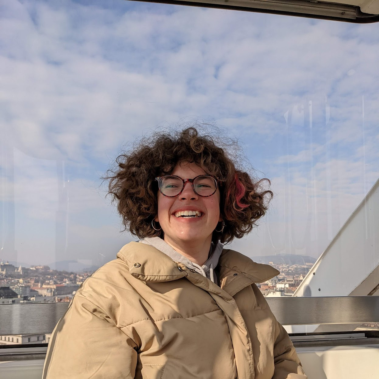 Website change monitoring, tracking and alerts